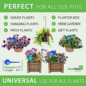 Large Plant Watering Globes, Outdoor Indoor Watering Devices, Aqua Globes, Glass Self Watering Globes, Water Globe, Water Plant Stakes, Spikes, Water Bulbs, Water Balls, Watering Bulb