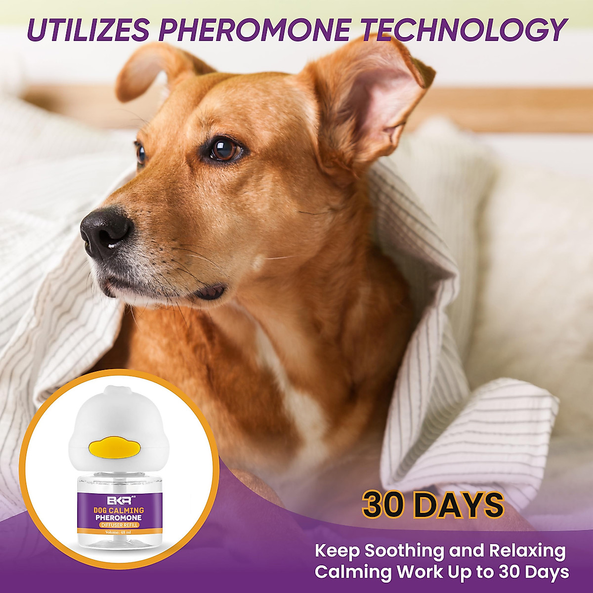 BKRMART Dog Pheromone Calming Diffuser 5 in 1 Appeasing Pet Pheromones Diffuser to Calm Kit 1 Diffuser & 4 Pheromone 48ml Refill for Anxiety Relief Reduce Barking Aggression Fighting Stress