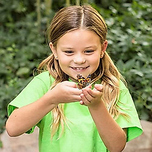 Insect Lore Giant Butterfly Garden with Voucher | 18 Inch Habitat | Life Cycle Figurines Included | Voucher to Redeem 5 Baby Caterpillars Later | Raise Painted Lady Butterflies