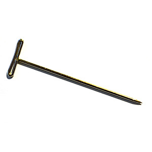 Eisco Labs Nickel Plated Dissection T-Pins - 2" (Pack of 100)