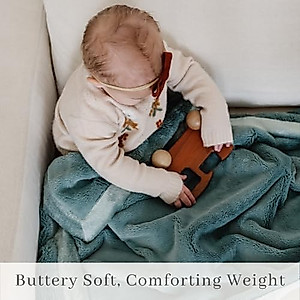 SARANONI Security Blankets for Babies Super Soft Boutique Quality Lush Luxury Baby Blanket (Mini 15" x 20", Eucalyptus)