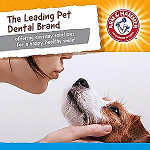 Arm & Hammer For Pets Nubbies Dental Toys Gator Dental Chew Toy for Dogs | Best Dog Chew Toy For Moderate Chewers | Reduces Plaque & Tartar Buildup Without Brushing, Gator