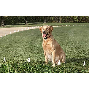 Sparky Pet Co - ECollar Replacement Strap - Bungee Dog Collar - Waterproof - Adjustable - Secure Nexus Wheel Lock - for Electronic Training & Invisible Fence Systems - 3/4" (Black)