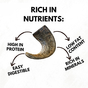 WhiteTail Naturals - Water Buffalo Horns for Dogs (Monster XX-L) All-Natural Dog Bone - Long Lasting Chew Toy for Aggressive Chewers and Teething Puppies