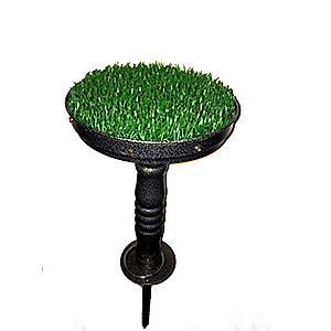 Falconry Block Stainless Steel 8 inches Perch with Astroturf, Fully Portable