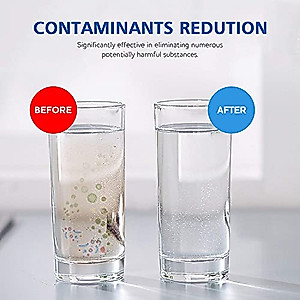 GLACIER FRESH Replacement Filter for Maximum Under Sink System, Compatible with 4US-MAXL-S01 System,2Packs