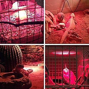 OMAYKEY 75W 2 Pack Infrared Heat Lamp Bulb Red Light Glass Heating Lamps Bulbs for Lizard Snake Bearded Dragon Chameleon Aquarium Reptiles & Amphibians