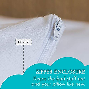 Little Sleepy Head Toddler / Travel Pillow Protector for Pillows 13x18 and 14x19 (1-Pack)