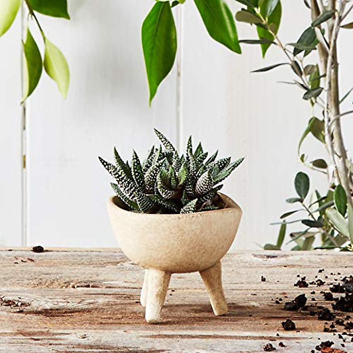 Creative Co-Op Boho Terracotta Footed Planter, Distressed Cream