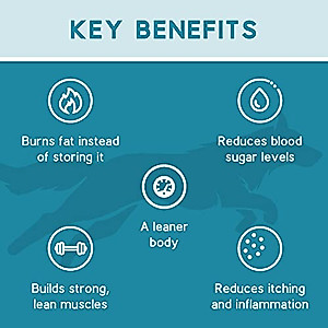 Ketona Chicken Recipe Adult Dry Dog Food, Natural, Low Carb (only 5%), High Protein (46%), Grain-Free, The Nutrition of a Raw Diet with The Cost and Convenience of a Kibble; 4.2lb