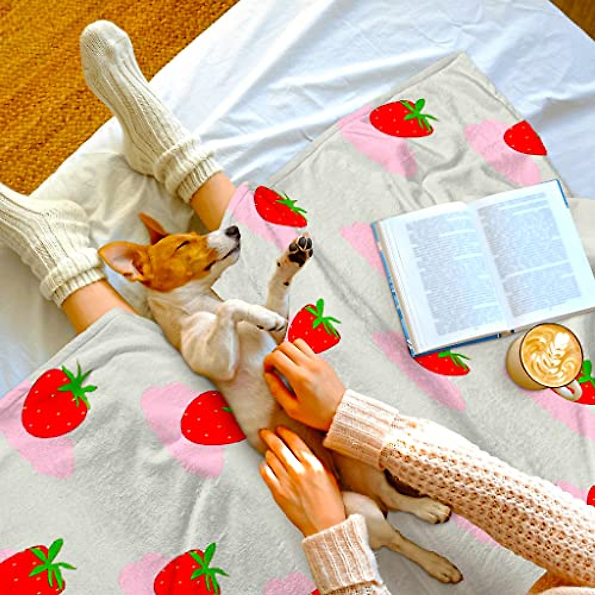 YRAQLVU Strawberry Throw Blanket for Couch Cute Baby Blanket Strawberry Decor, Warm Fleece Flannel Strawberry Blanket for Unisex Adult Boy Girl Pink Blanket Ultra-Soft Cozy Blanket, 40x50 Inches