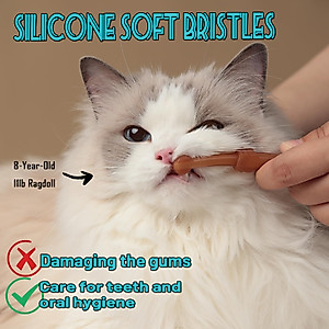 E.M&S.T by Emmeliestella Small Dog & Cat Toothbrush Micro Head, Cat Dental Care, Pets Toothbrush, Oral Hygiene, Easy to Handle, Deep Clean, Soft Bristles, Easy to Handle, Brown & Yellow 3PCS