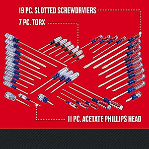 CRAFTSMAN Screwdriver Set, 42 Pieces, Acetate Handle, Made of Steel with Satin-Nickle Finish (CMHT65300)