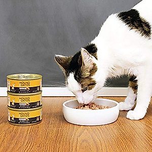 Hound & Gatos Wet Cat Food, 98% Chicken & Liver, case of 24, 5.5 oz cans