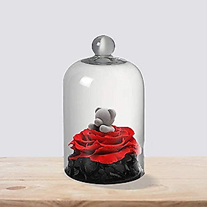 RenRenLe 8.5X4.7 Inches Cloche Glass Dome Glass Cloche Bell Jar Bell Dome Glass Display Cover for Dessert Foods Candles (Interior Size 6.3 x 4.7 Inches)