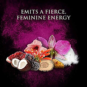 Beyonce Heat Wild Orchid Eau De Parfums Spray for Women, 1 Ounce