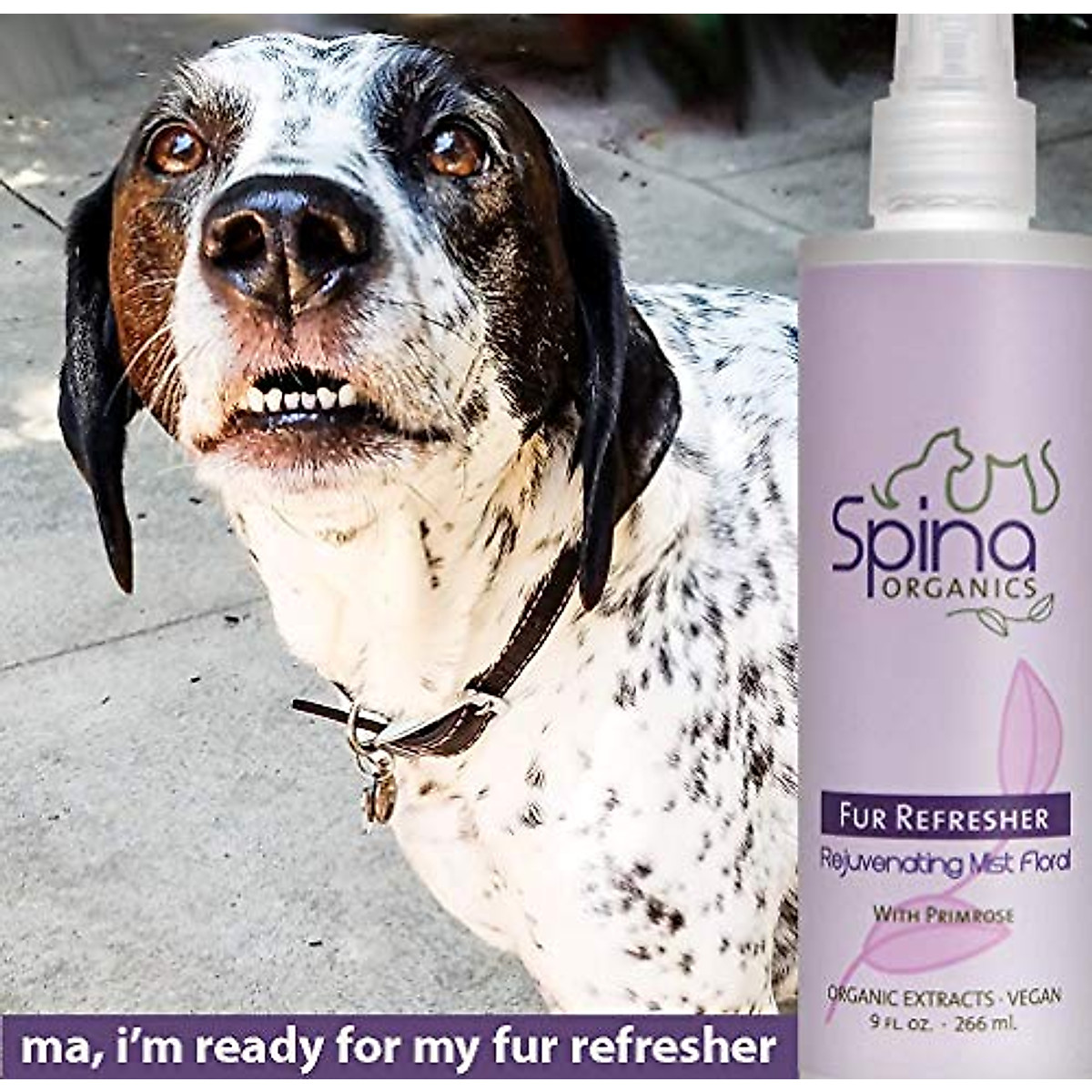 Spina Organics, All-Natural PET Deodorizer Fur Refresher Spray - Rejuvenating Mist with Botanical and Essential Oils, Featuring Primrose Oil in a Floral Scent Made in The USA 9 oz