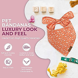 LunaMarie - Luxury Pet Birthday Bandanas -Premium & Silky Poly Fabric | 100% Handmade | Custom Shape Dual Layered (Orange Feathers, Small)