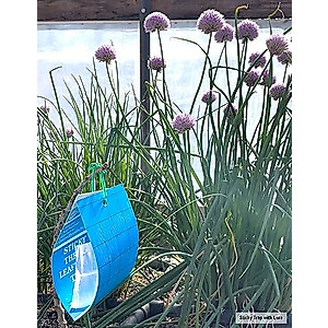 Blue Sticky Trap Thrips Leafminer Trap 15 Pack