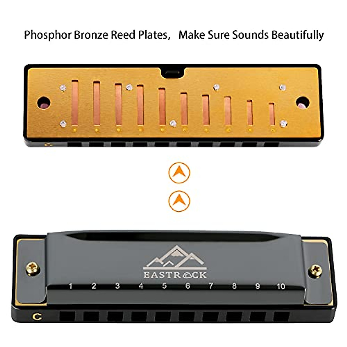 EastRock Blues Harmonica Mouth Organ 10 Hole C Key with Case, Diatonic Harmonica for Professional Player, Beginner, Students gifts, Adult, Friends, Gift Black