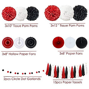 InBy 29pcs Red Black White Mickey Minnie Mouse Ladybug Birthday Wedding Baby Shower Bachelorette Party Decoration Kit - 12" 10" Tissue Paper Pom Pom, Tassel Garland, Circle Dot Garland, Paper Fan