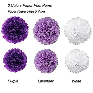 Cocodeko Tissue Paper Pompoms and Honeycomb Balls for Birthday Party Wedding Baby Shower Bridal Shower Festival Decorations - Purple, Lavender and White
