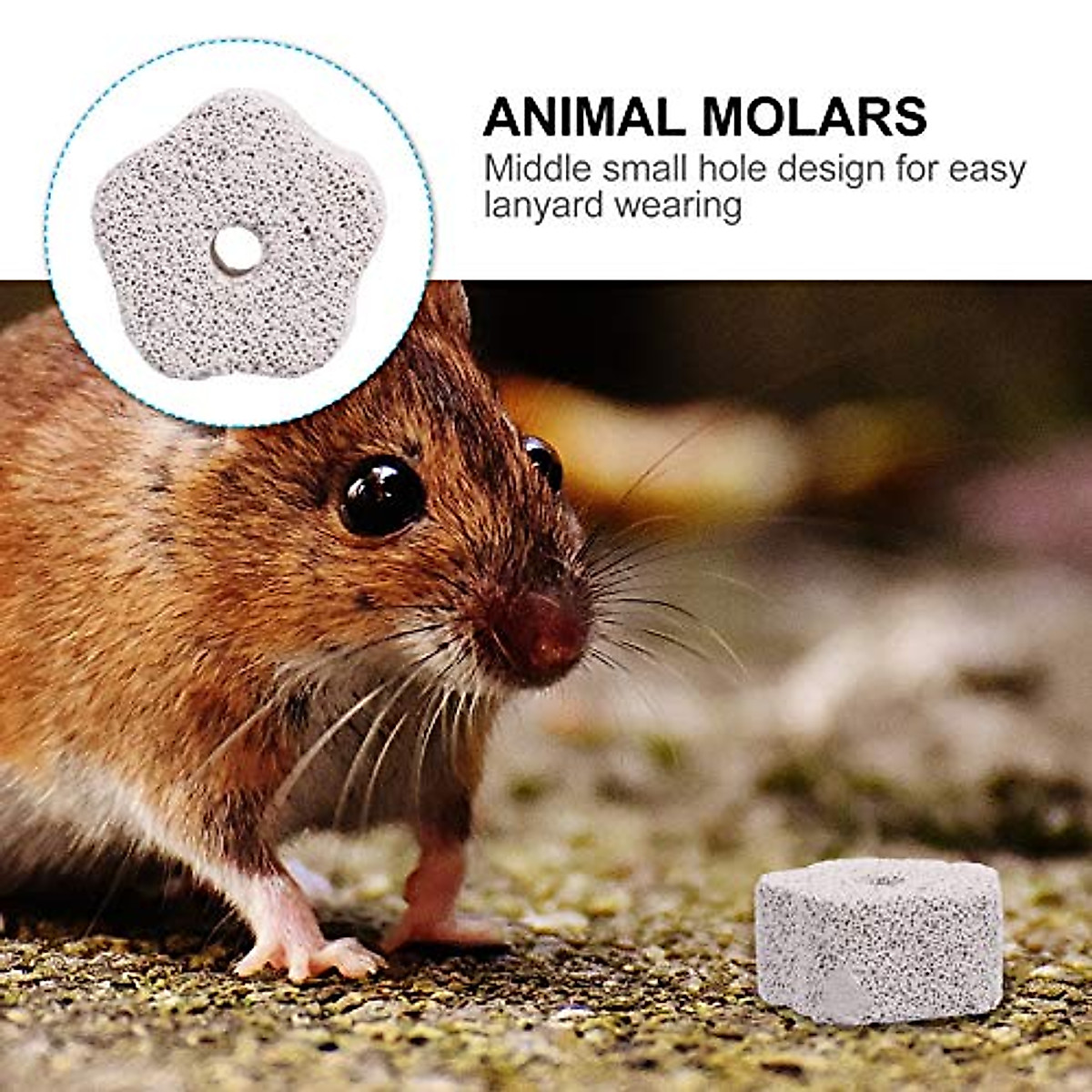 balacoo 12Pcs Small Animal Chew Toys Lava Bites Toy Pet Teeth Toy Molar Toy Biting Toy Pet Supplies for Guinea Hamster Rabbit Rat