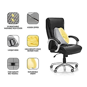 Bipintip Lumbar Support Office Chair with Adjustable Strap and Washable Cover - Back Cushion for Couch,Recliner,Car,Desk Chair - Lumbar Pillow Back Pain Relief,Improve Posture(Gray)
