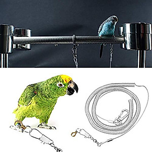AYNEFY 6m Bird Flying Rope Parrot Bird Anti-bite Outdoor Flying Training Traveling Walking Rope Pet Bird Leash Kits Random Color (Foot Ring Dia. 6.5mm)