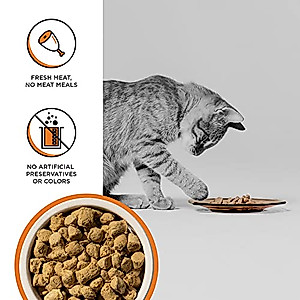 BIXBI Rawbble Freeze Dried Cat Food, Chicken Recipe, 3.5 oz - 95% Meat and Organs, No Fillers - Pantry-Friendly Raw Cat Food for Meal, Treat or Food Topper - USA Made in Small Batches