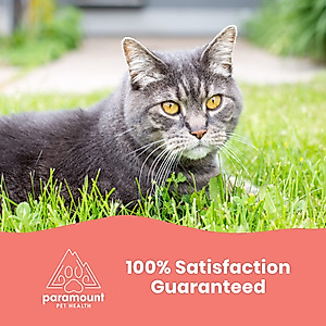 Wild Alaskan Salmon Oil for Cats and Small Dogs | Premium Quality Salmon Oil Supplement for Pets (2 Ounce)