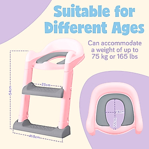 Ashtonbee Mountable Potty Seat (with steps, Pink)