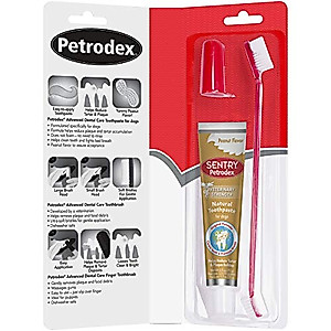 Petrodex Dental Care Kit for Dogs, Toothpaste and Toothbrushes, Peanut Flavor, 3-Piece Kit