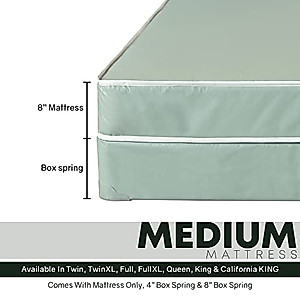 Nutan 8-Inch Firm Double sided Tight top Waterproof Vinyl Innerspring Mattress and 4-Inch Fully Assembled Wood Boxspring/Foundation Set,Full, Green