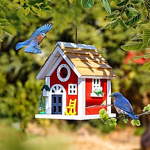 2IN1 Red Bluebird House and Birdfeeder for Outside - Stainless Perch with Removable Protector - Finch, Sparrows Bird House for Pole On Post,Outdoor Bird Houses,Birdhouse for Garden Viewing