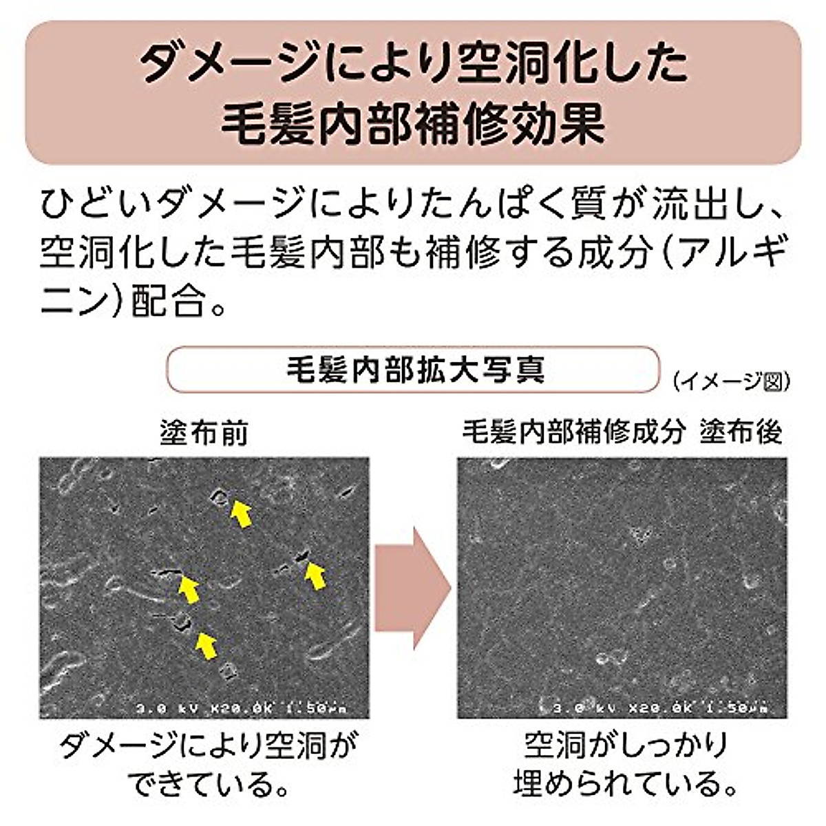 TSUBAKI JAPAN TSUBAKI repair milk 100ml