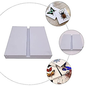 Baluue 2 Pack Insect Pinning Board Specimen Display Panel Insect Specimen Board Specimen Spreading Board Butterfly Spreading Wings