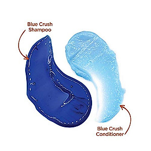 John Frieda Blue Crush Blue Shampoo for Brunettes, Crush Brassy Hair Tones for Brunettes, 8.3 oz (2 Pack)