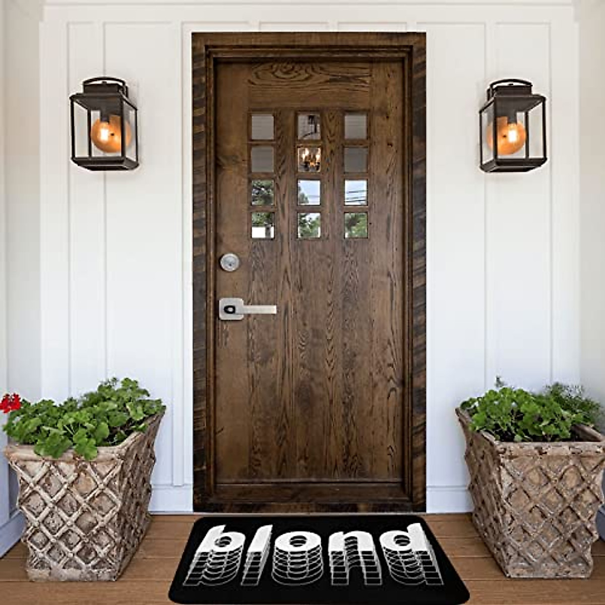 DanaJLessard Bath Rugs Frank Singer Ocean Area Rug Home Decor Flannel Carpet Absorbent Non-Slip Welcome Door Floor Mat for Living Room Kitchen Bathroom 15.7 X 23.5 in