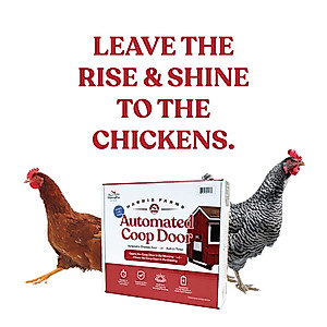 Manna Pro Harris Farms Automated Chicken Coop Door – Auto Door with Built-in Timer and Light - Flock Security System,White