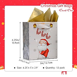 Nihuecne 12 Pack Christmas Gift Bags with Tissue Paper, 6" Small Holiday Gift Bags with Handles for Christmas, Holiday Party,12 Designs (5 x 6.25 x 2.9 In)