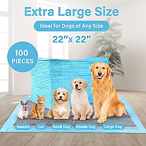 FluffyDream Super-Absorbent Waterproof Dog and Puppy Pet Training Pad, Housebreaking Pet Pad, 100-Count Small-Size, 22"x22", Blue, Scented