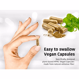 DR WAKDE'S Turmeric Capsules (Curcuma Longa, 60 Veg Caps, Plant-Based Supplement, Ayurvedic Herb, All Natural, Vegan)