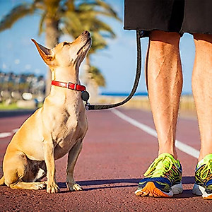 6 Pack Key Finder Portable GPS Tracking Mobile Tracking Smart Anti Loss Device Waterproof Locator Smart Finders Tracker Device for Kids Dog Pet Cat Wallet Keychain Luggage, Alarm Reminder, App Control