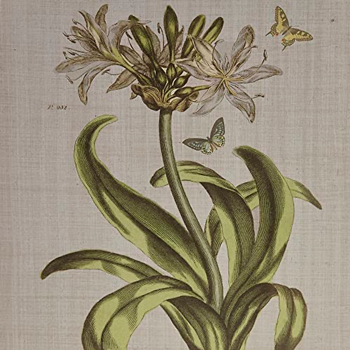 Martha Stewart Herbal Botany Wall Art Living Room Decor - Floral Linen Canvas, Farmhouse Lifestyle Bathroom Decoration, Ready to Hang Painting for Bedroom, 17.84"W x 21.84"L x 1.45"H, Green 4 Piece