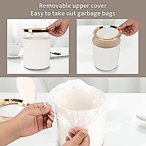 Mini Trash Can with Lid, Small Desktop Trash Can 2.5L, Tiny Waste Basket for Bathroom, Powder Room, Bedroom, Kitchen, Office (Black)