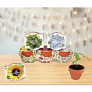 Buzzy® Terracotta Mini Grow Pots | Assorted 6-Pack | Daydream Collection | Sunflower, Daisy, Poppy, Cactus, Forget-Me-Not | Best Gardening Gifts and Favors | Growth Guaranteed