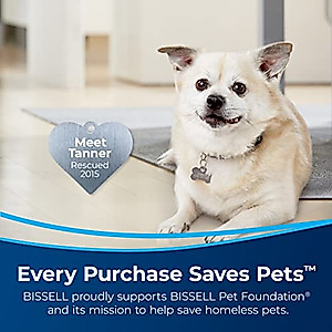 BISSELL Pet Stain Eraser Plus, 3181