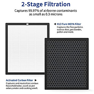 True HEPA Replacement Filter Compatible with Surround Air Intelli-Pro XJ-3800 Air Puri fier,True HEPA and Carbon Filter(2 Pack)