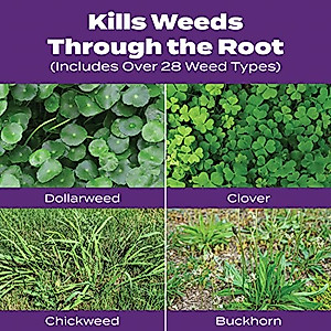 Scotts Turf Builder Bonus S Southern Weed & Feed2, Weed Killer and Lawn Fertilizer, 10,000 sq. ft., 34.48 lbs.